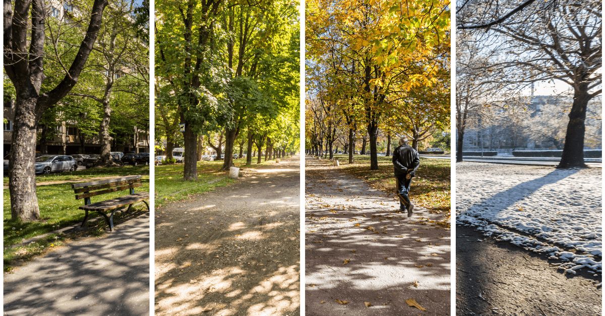 Seasonal sales taxes – Wacky Tax Wednesday - Avalara