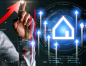 Rea & Associates - Avalara